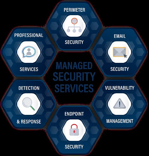 Information Security Solution